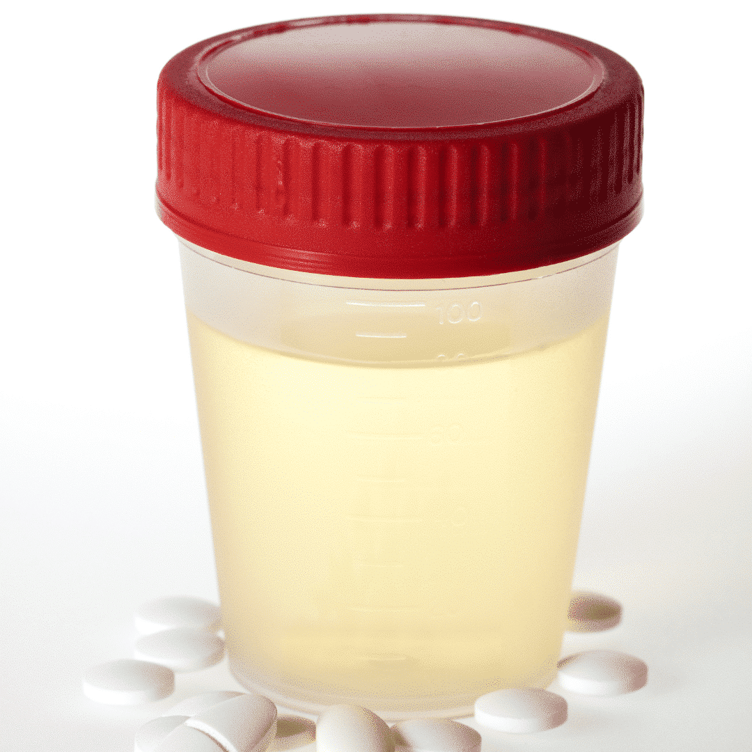 Discover The Advantages of Drug Testing | 12 Panel Now